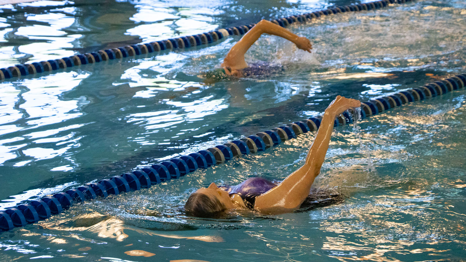 South Suburban Parks and Recreation | Explore. Enjoy.