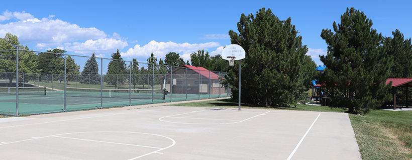 First Public Hearing on South Suburban's 2021 Budget